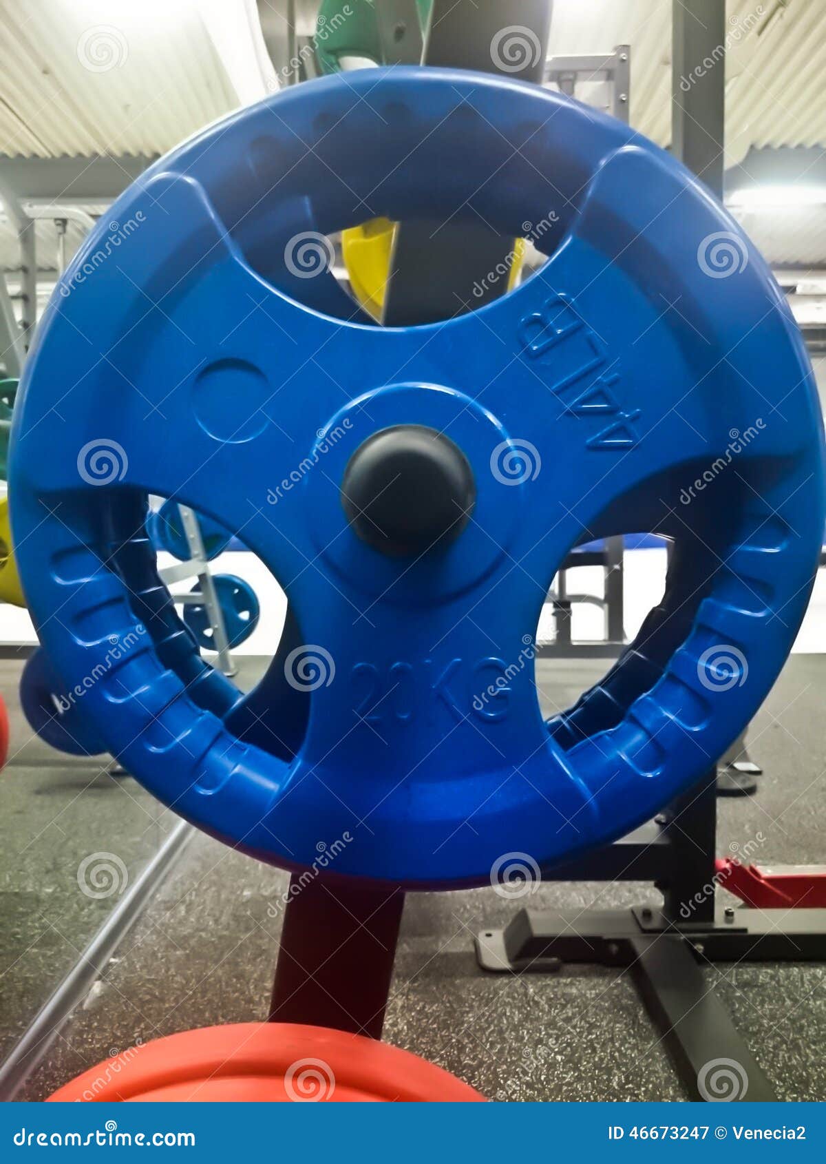 Professional Olympic Disk for Rod Stock Image - Image of athletic, hard ...