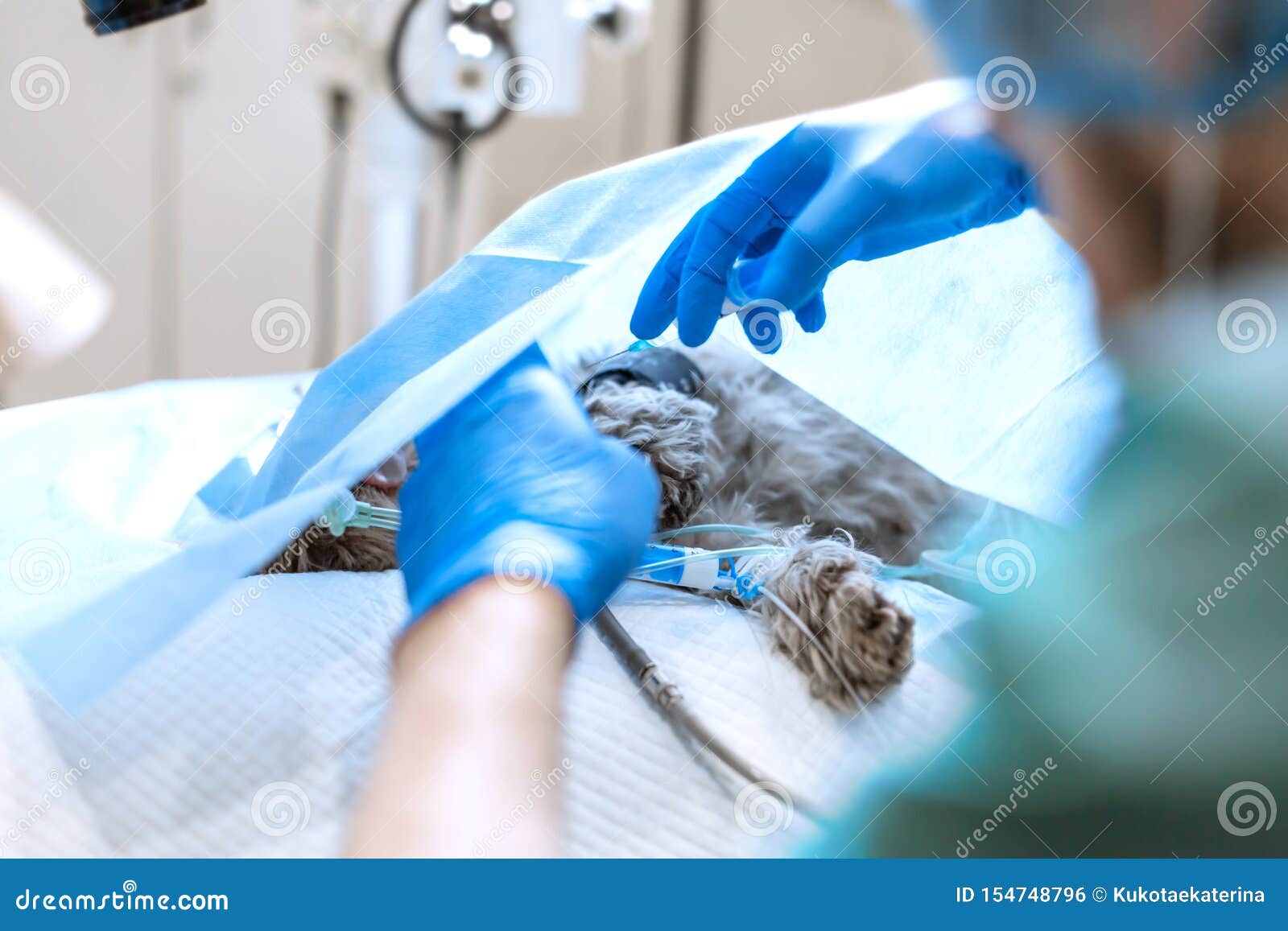 A Professional Ophthalmologist Performs Eye Surgery with a Microscope ...