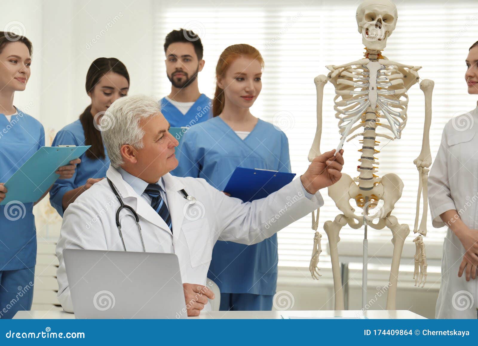 Orthopedist Teaching Medical Students in Clinic Stock Photo - Image of ...