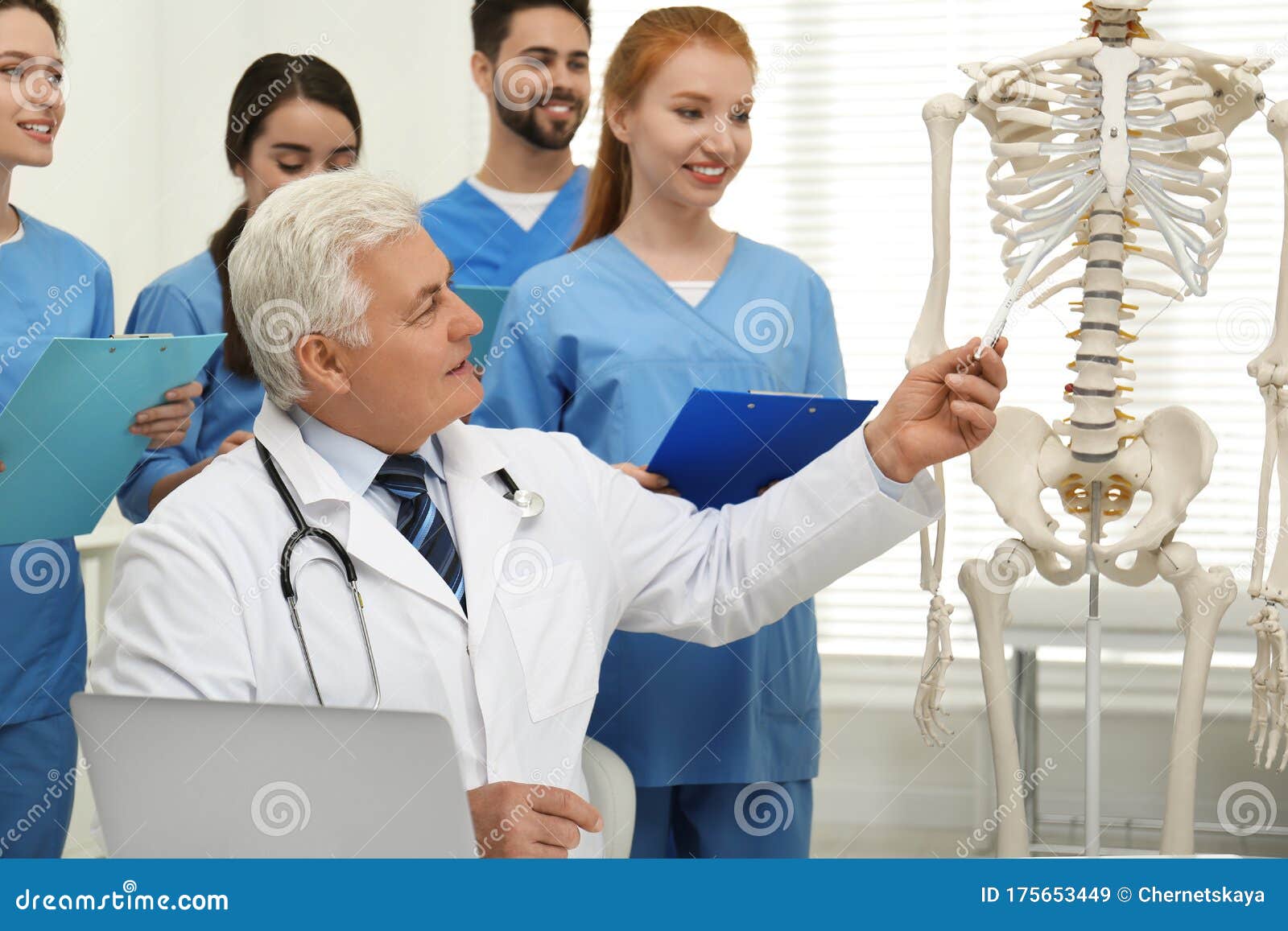 Orthopedist Teaching Medical Students in Clinic Stock Image - Image of ...