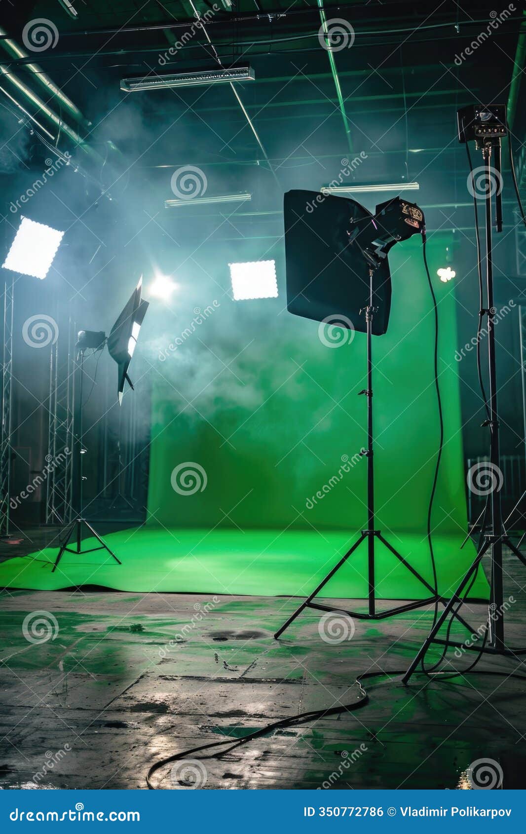 A Professional Photo Studio with Green Screen and Lighting Equipment ...
