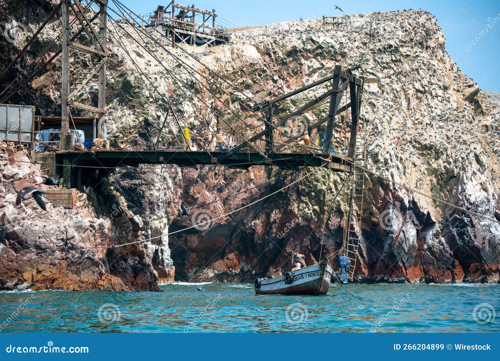 Professional in the Process of Extraction of Guano in the Ballestas ...