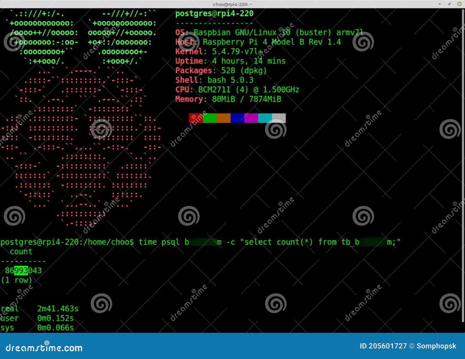 It Professional Process and Working the Database File on the Debain ...