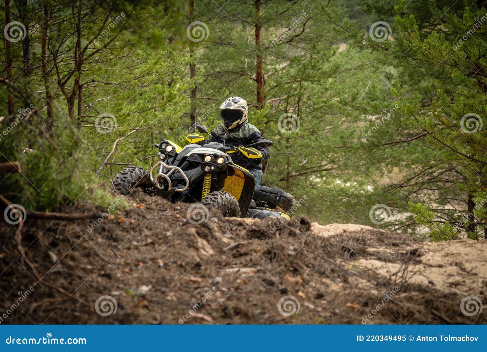 Professional Quad Biker Rides in Forest. Quad Racing, ATV 4x4 Stock ...