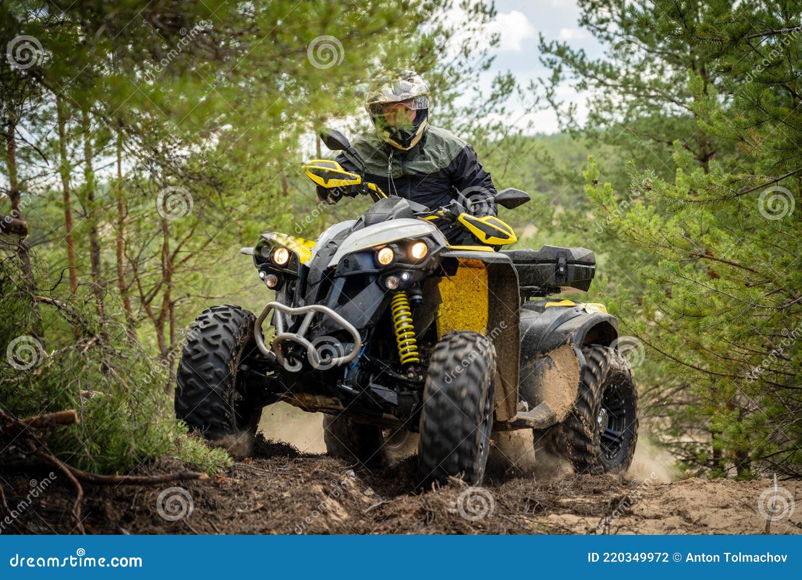 Professional Quad Biker Rides in Forest. Quad Racing, ATV 4x4 Stock ...