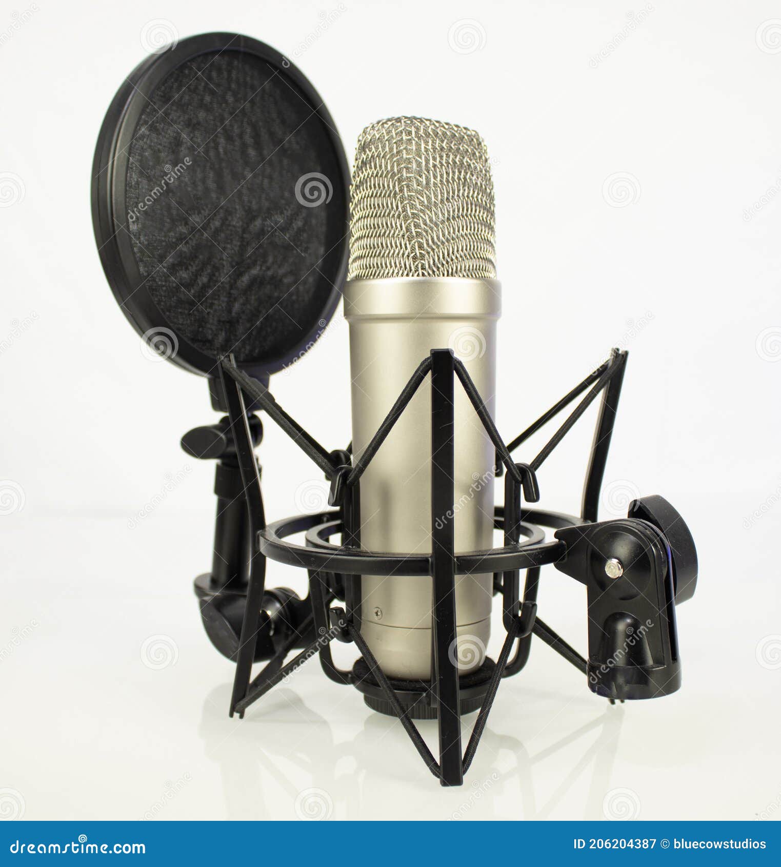 A Professional Recording Condenser Microphone with Pop Shield Stock ...