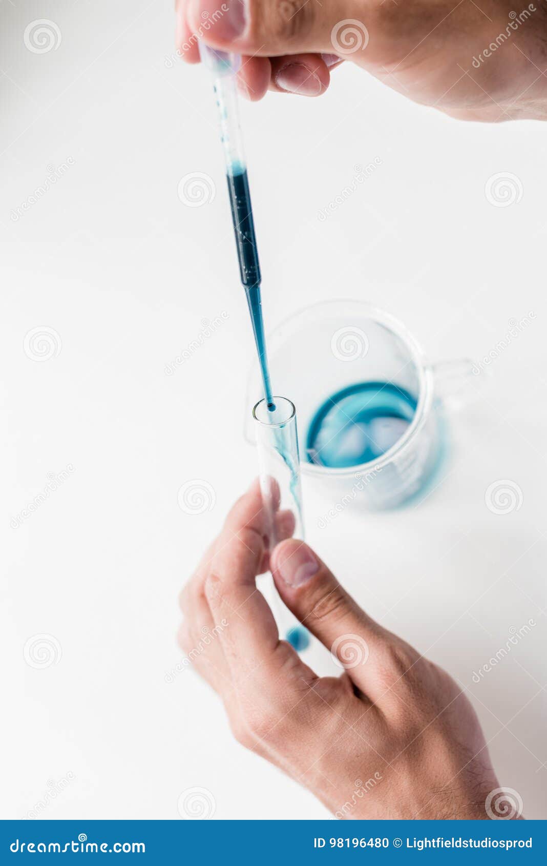 Professional Scientist Making Experiment in Chemical Lab Stock Photo ...