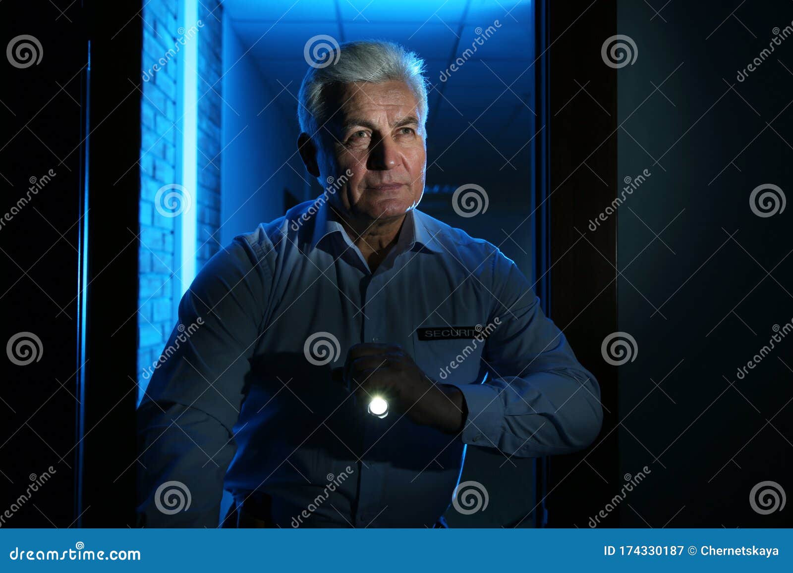 Professional Security Guard with Flashlight Checking Dark Room Stock ...
