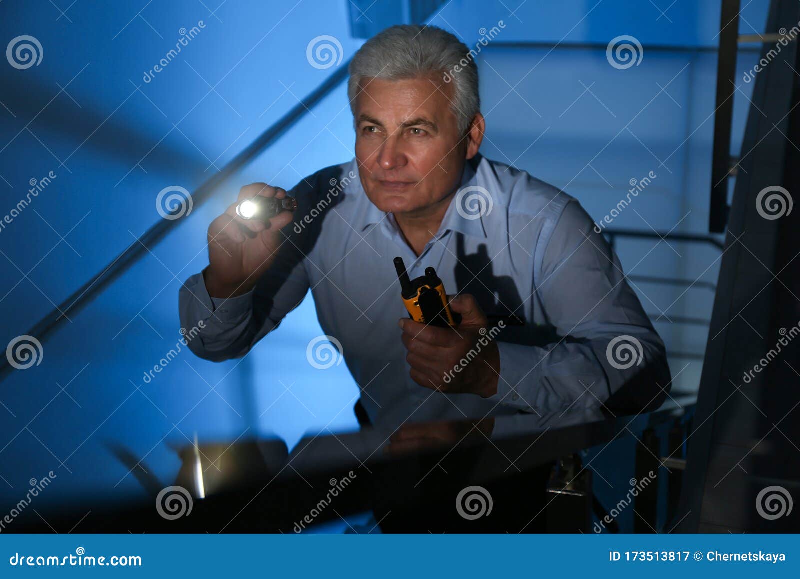 Professional Security Guard with Flashlight on Stairs in Room Stock ...