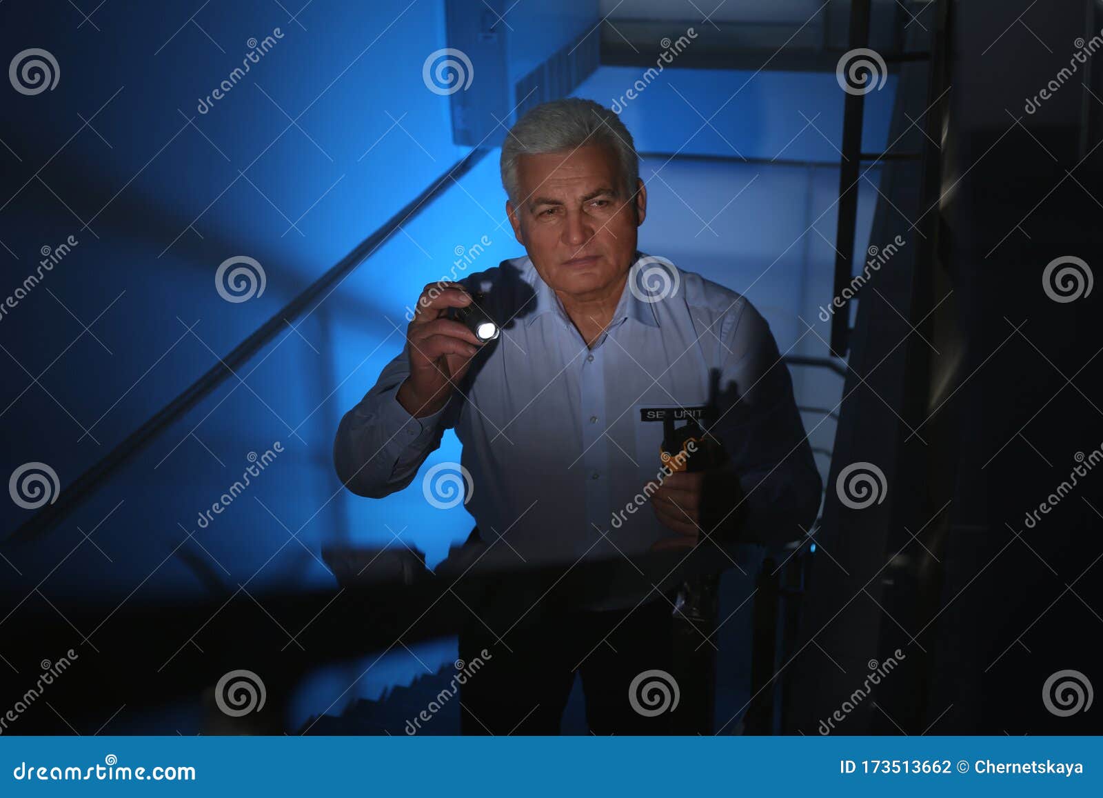 Professional Security Guard with Flashlight on Stairs in Room Stock ...
