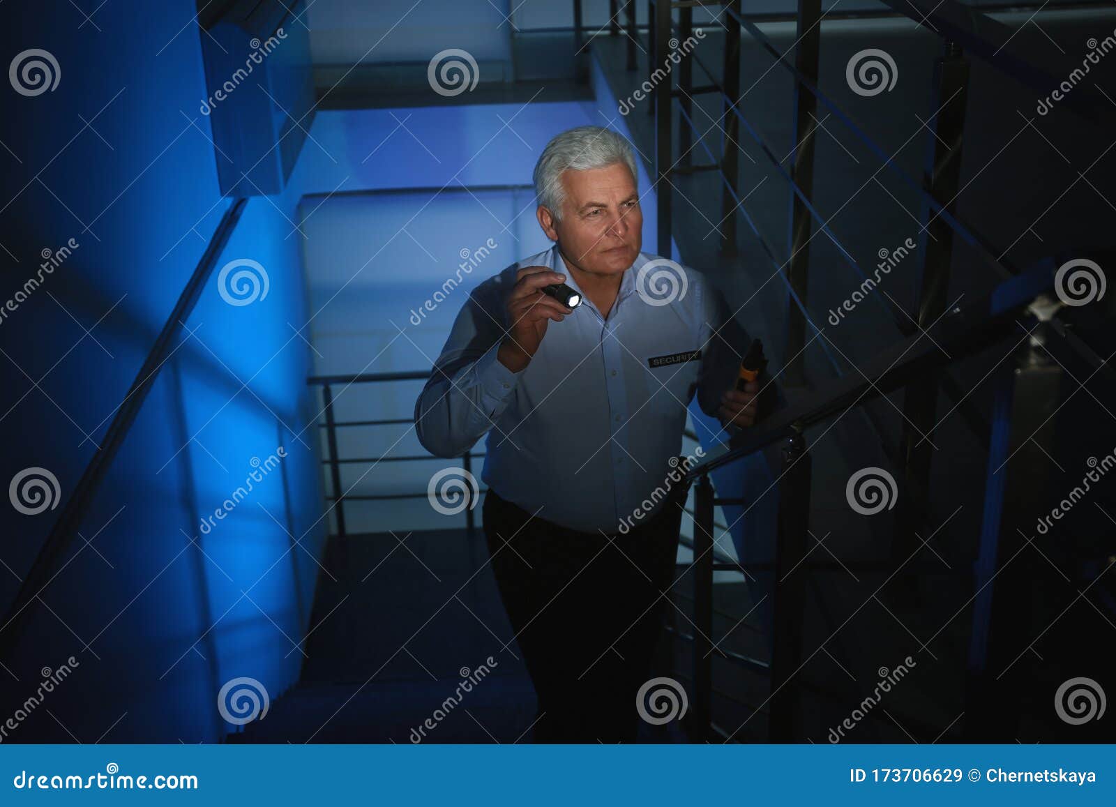 Professional Security Guard with Flashlight on Stairs in Room Stock ...