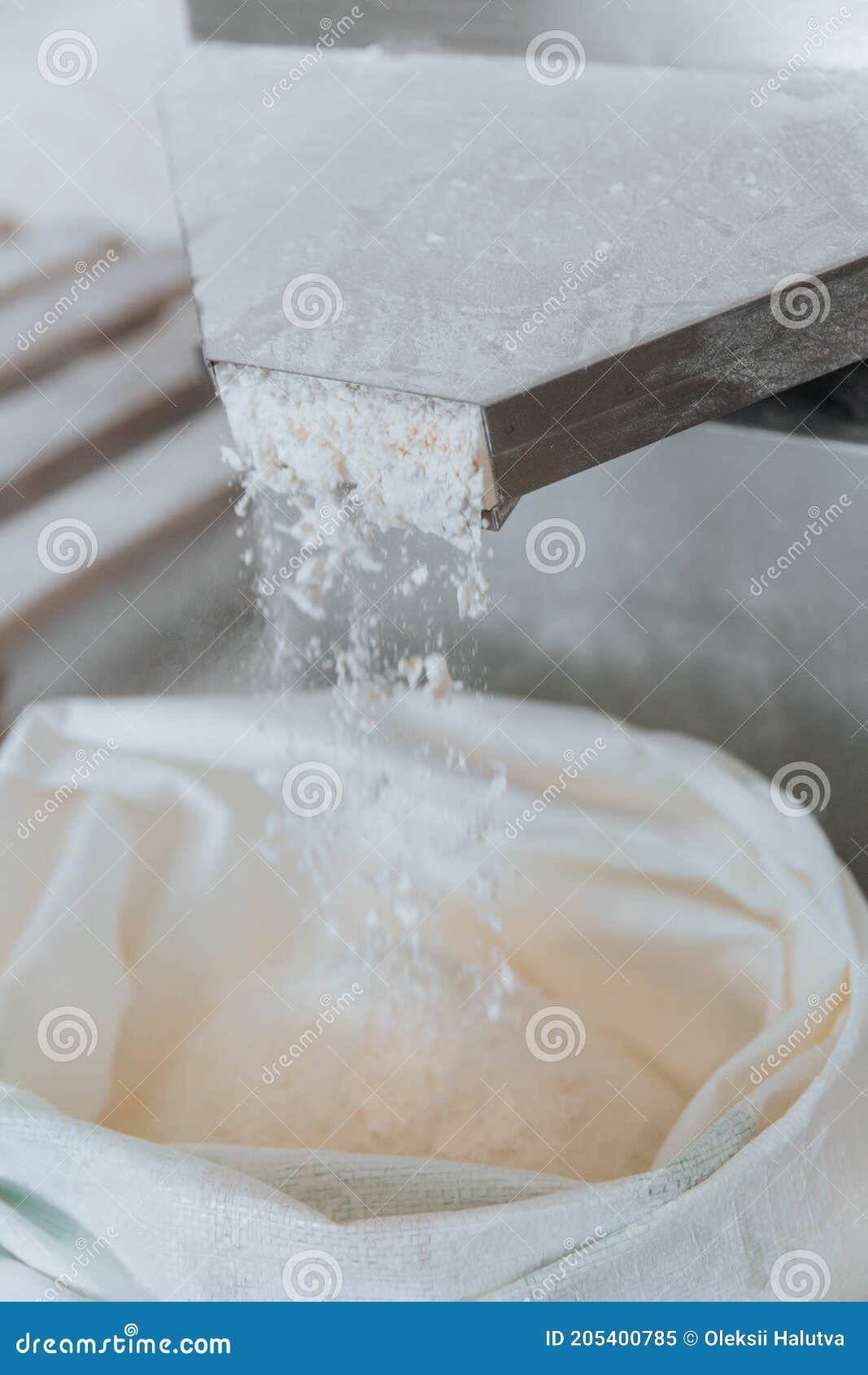 Professional Sieve for Sifting Flour. Flour is Poured into a White Bag ...