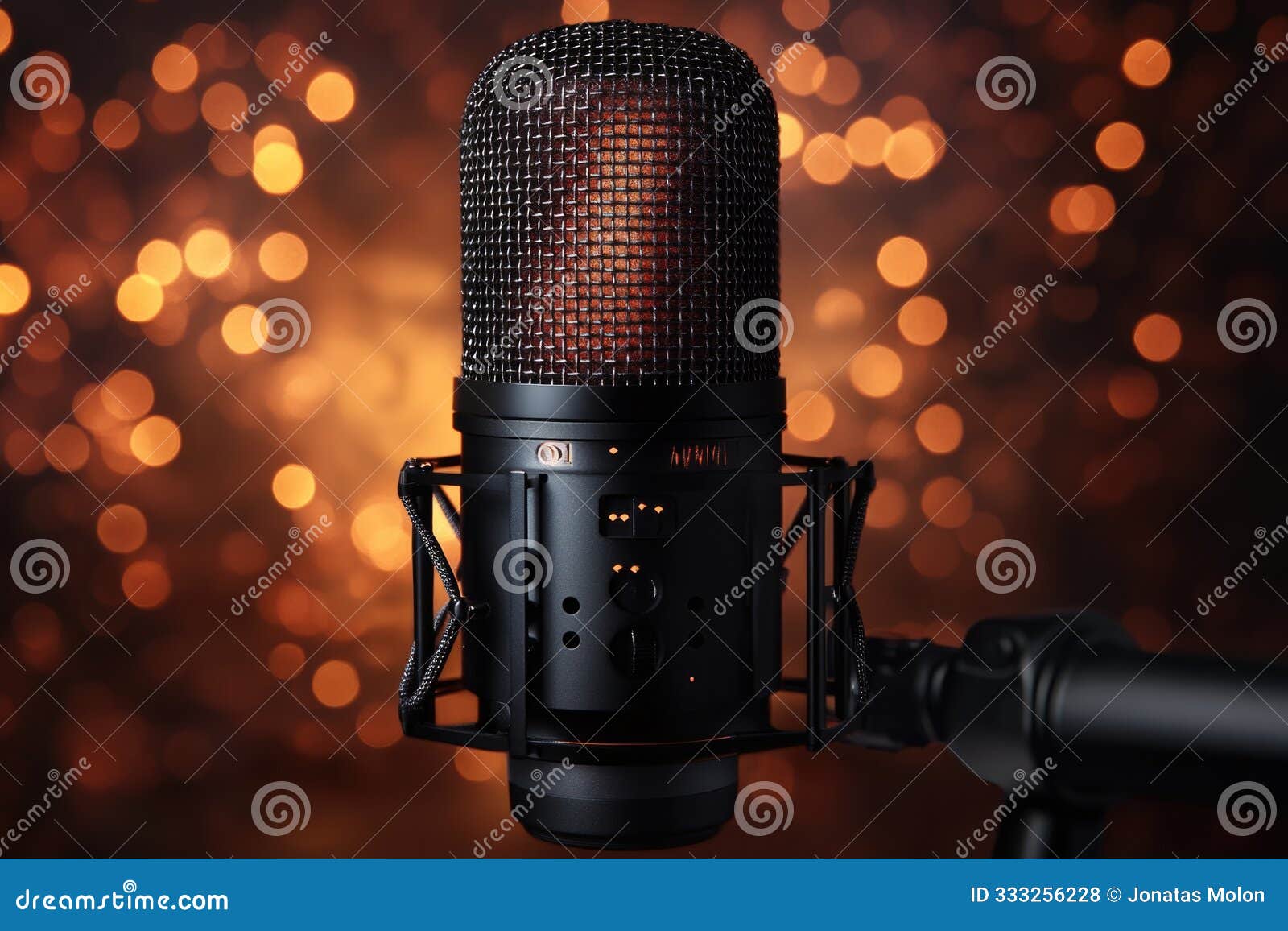 Professional Studio Microphone on Transparent Background for High ...
