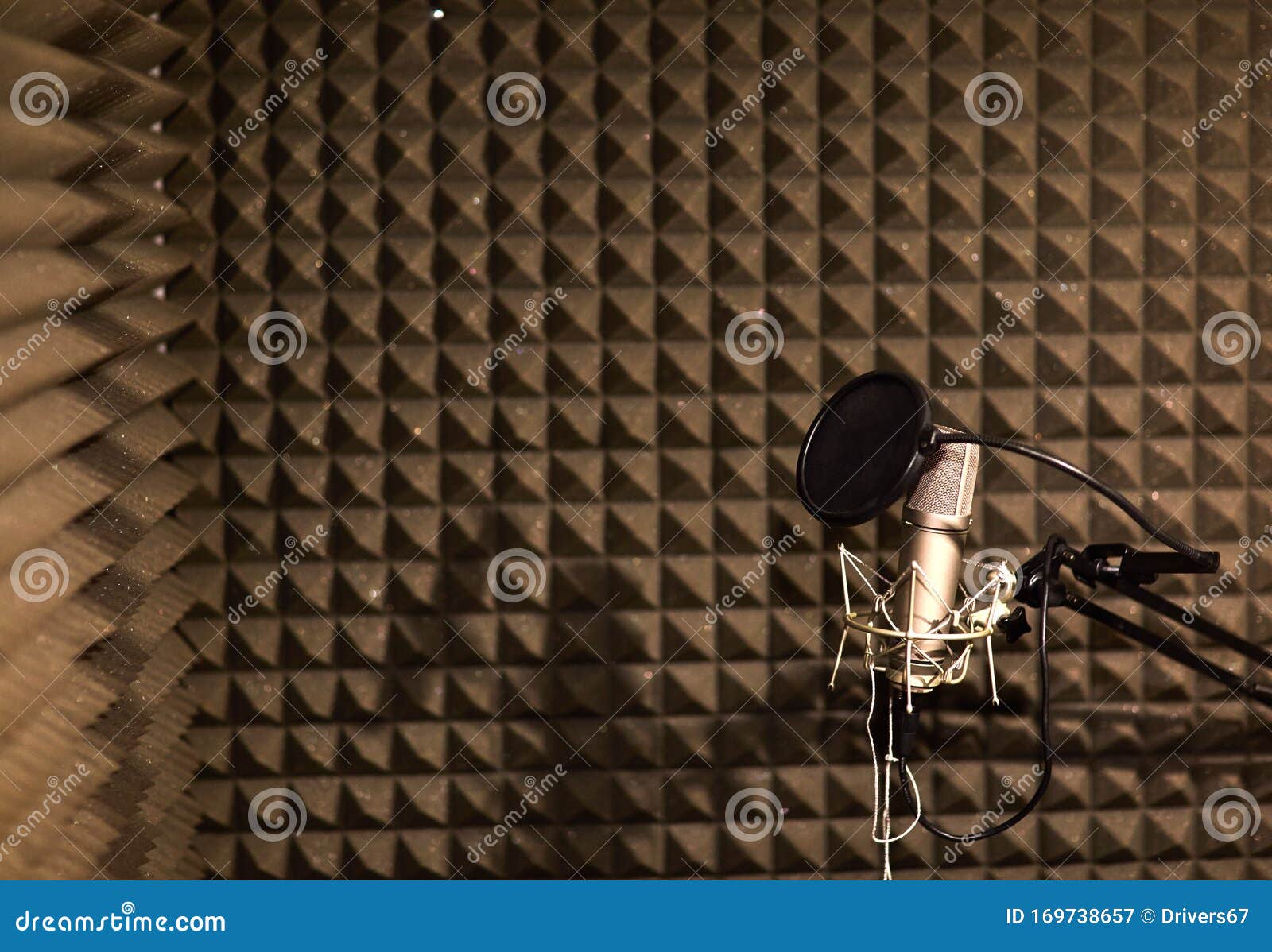 Professional Studio Microphone for Voice Recording. Sound Recording ...