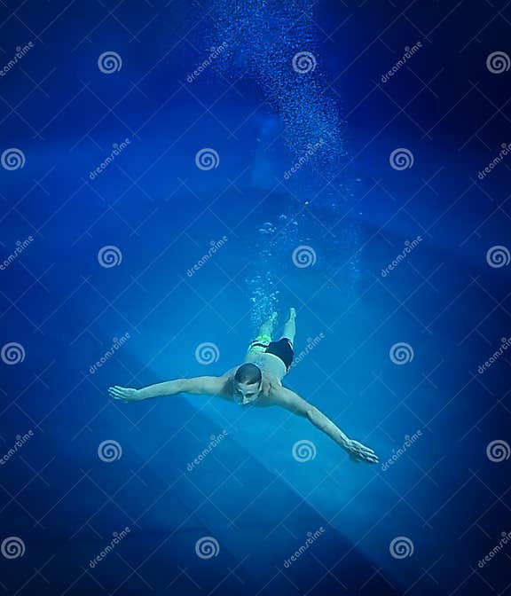 Professional Swimmer Diving in the Pool Stock Image - Image of pool ...