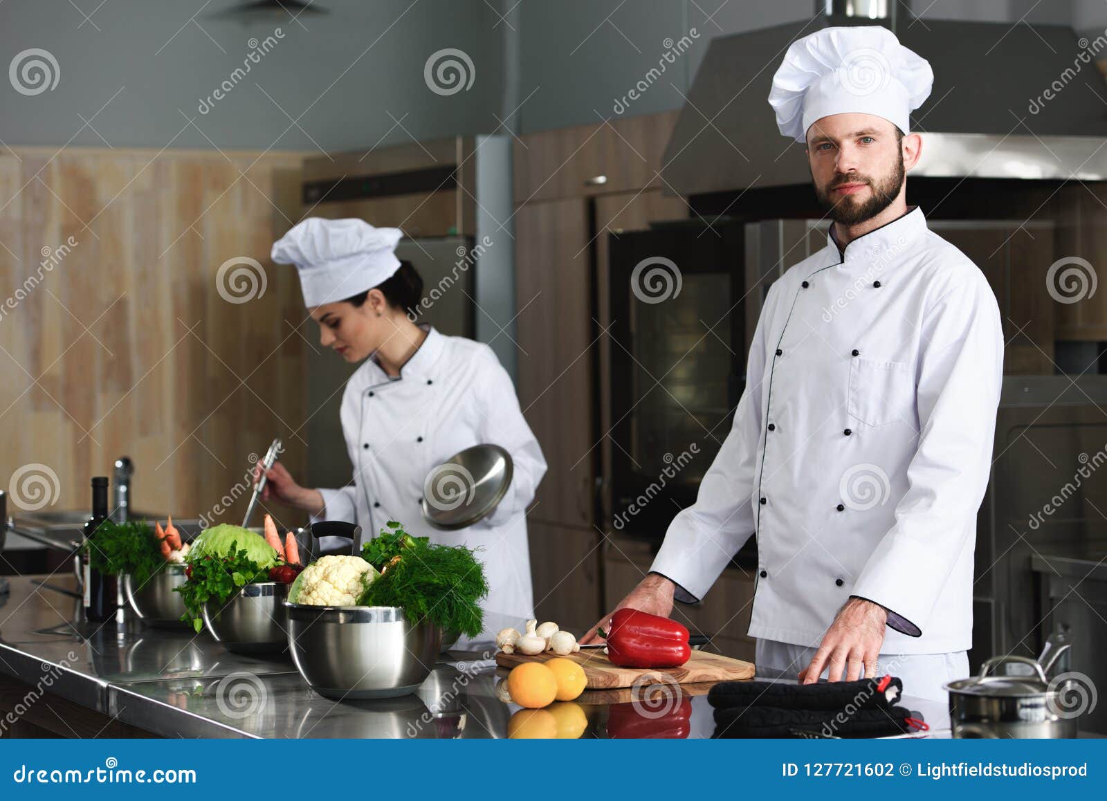 Professional Team of Cooks Busy at Modern Stock Photo - Image of dish ...