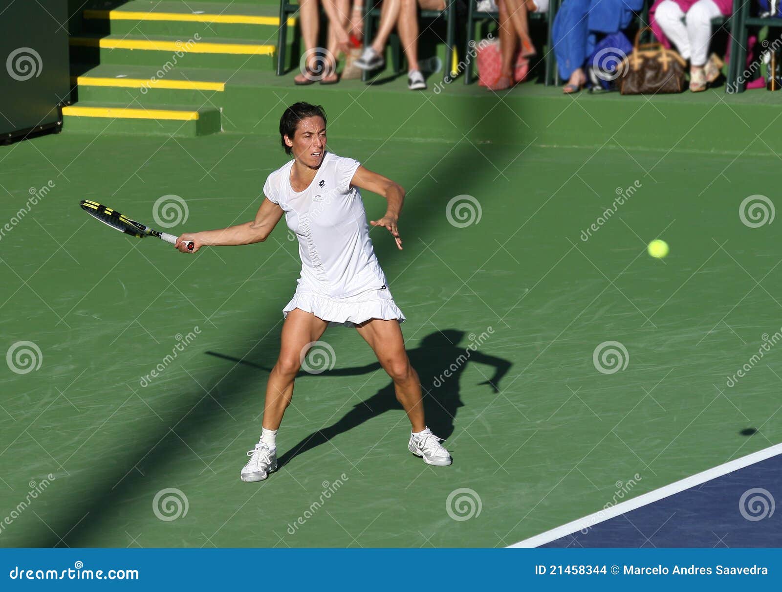 Professional Tennis Player. Editorial Stock Image - Image of raquet ...