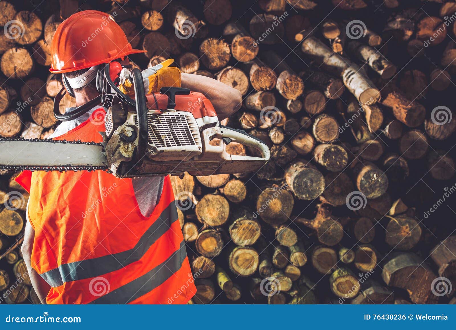 Professional Timber Worker stock photo. Image of timber - 76430236