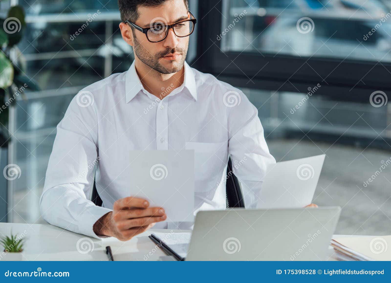 Professional Translator Working with Documents and Stock Photo - Image ...