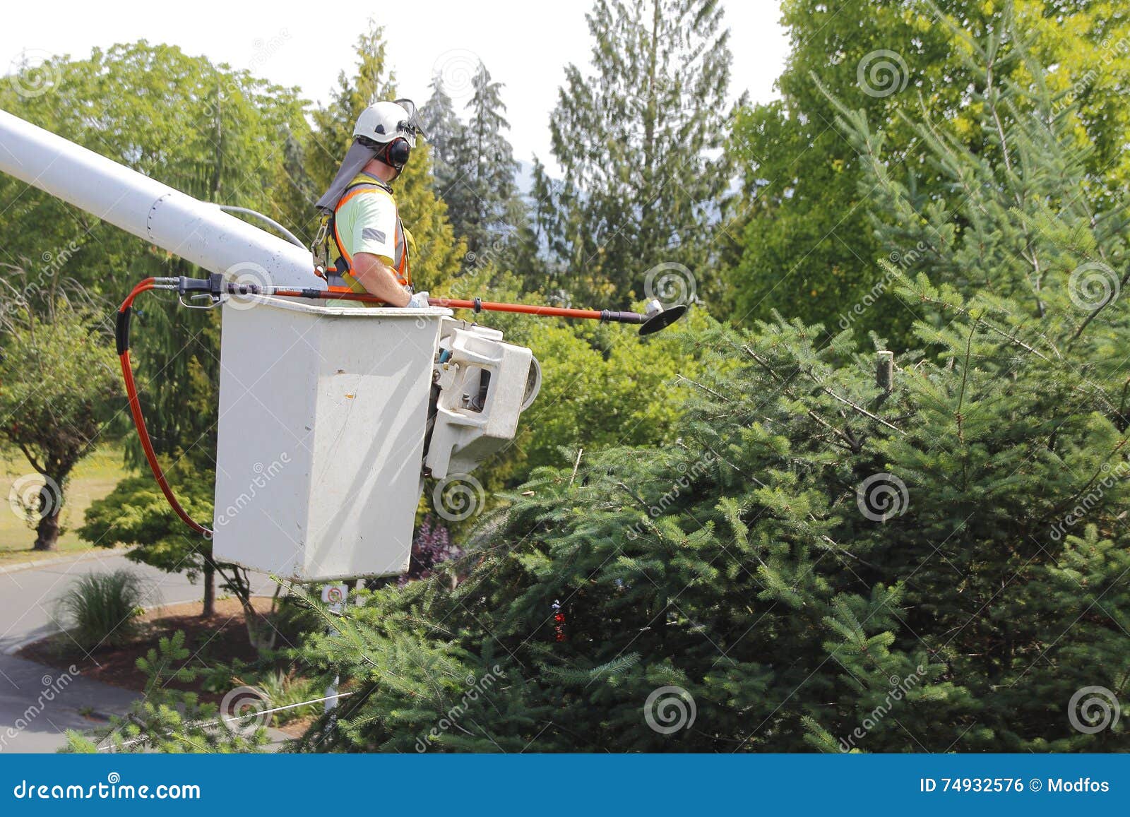 Professional Tree Trimmer editorial photo. Image of protection - 74932576