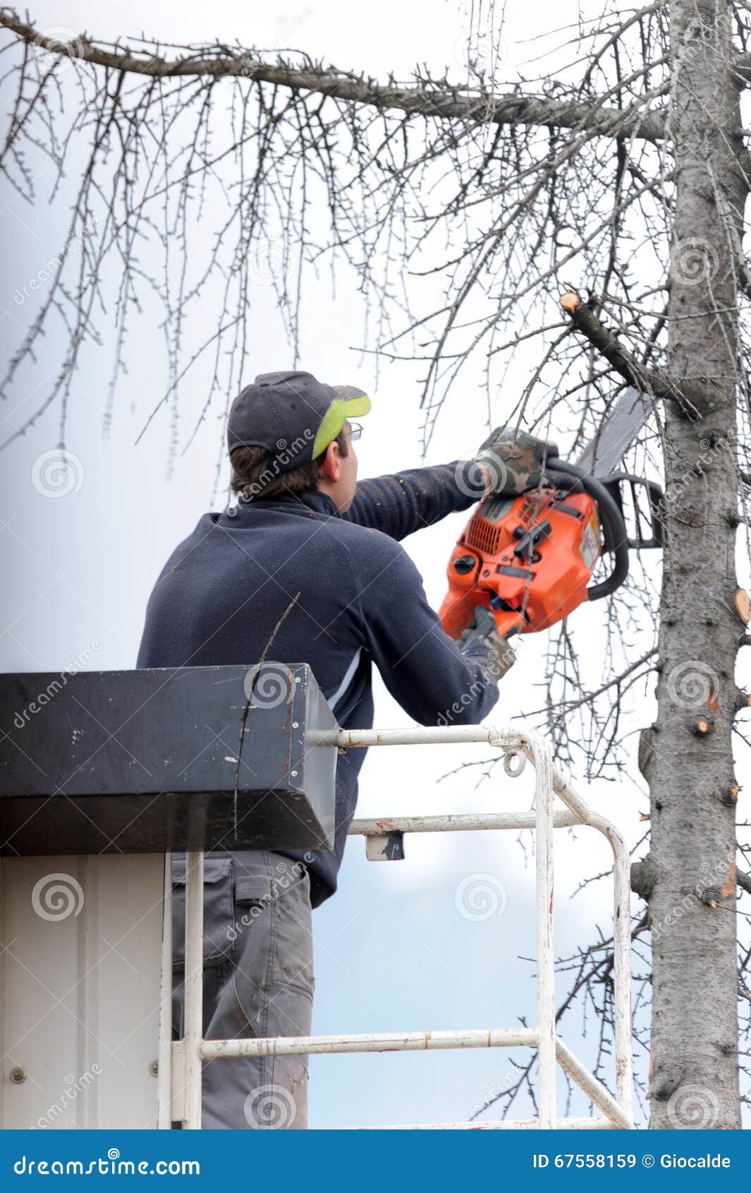Professional tree trimming editorial stock image. Image of woodcutter ...