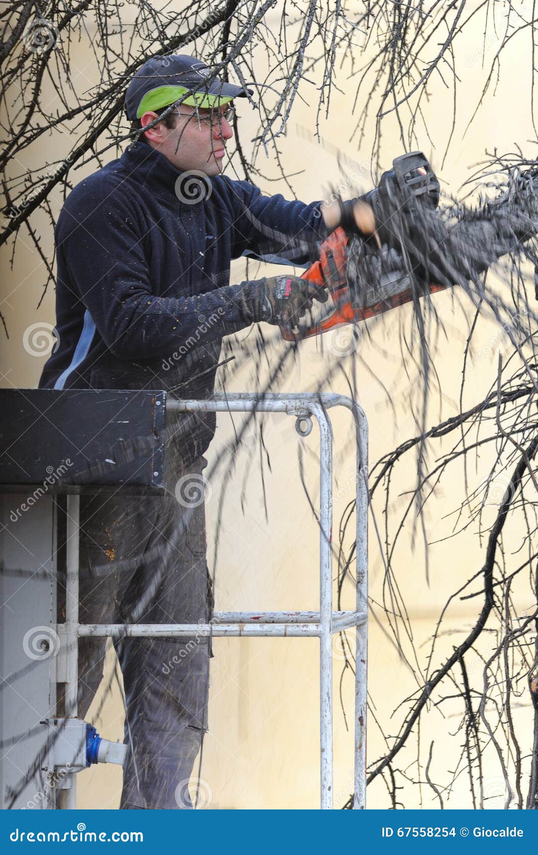 Professional tree trimming editorial stock image. Image of branch ...