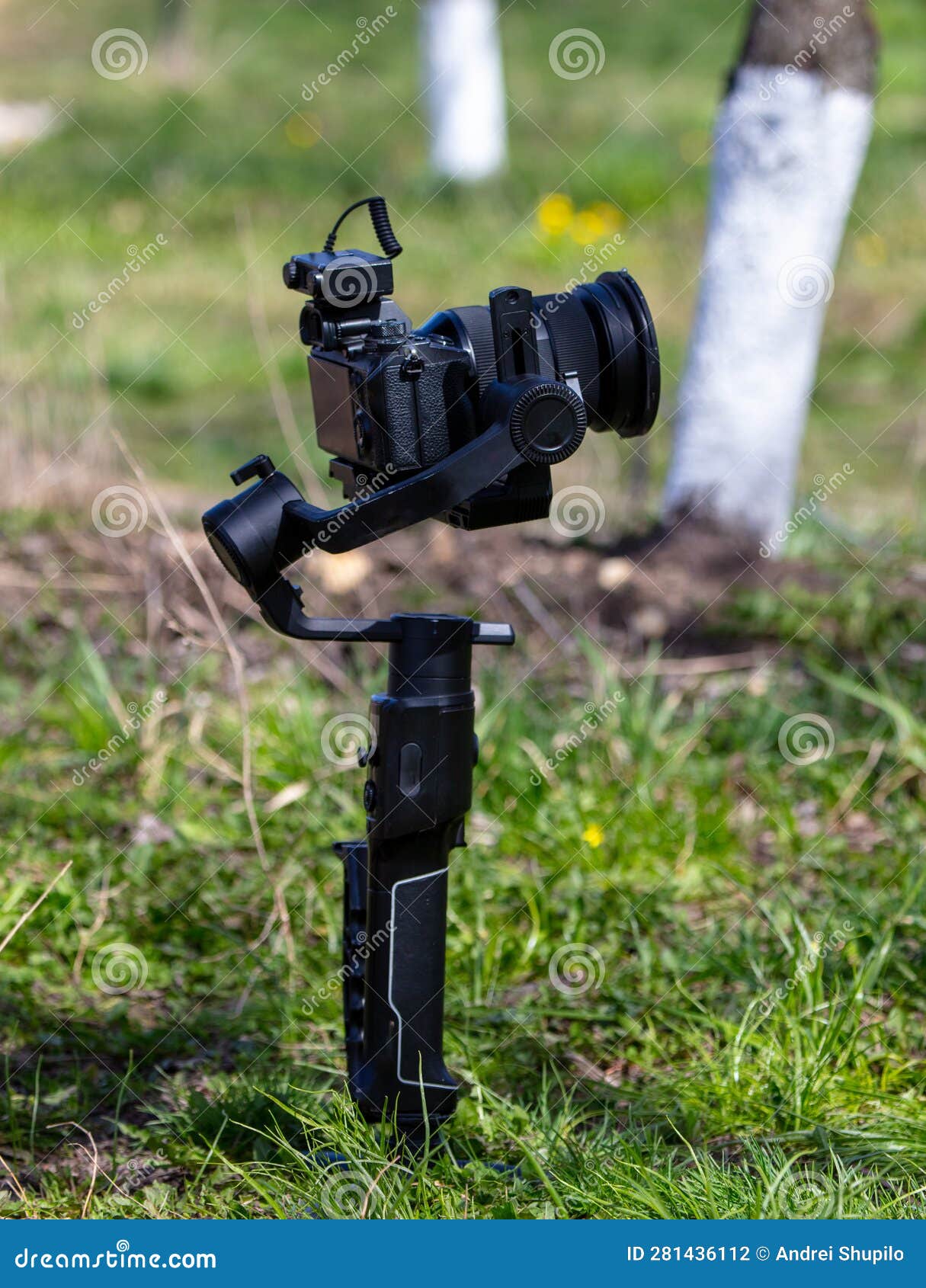 Professional Video Camera on Tripod in Green Grass. Shallow Depth of ...