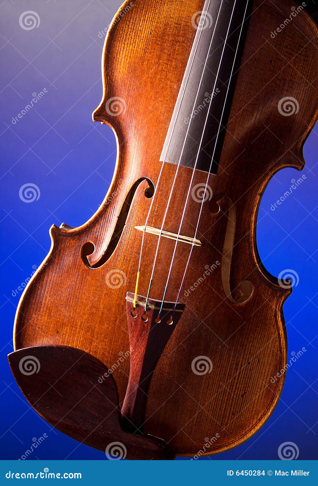 2,020 Violin Vertical Stock Photos - Free & Royalty-Free Stock Photos ...