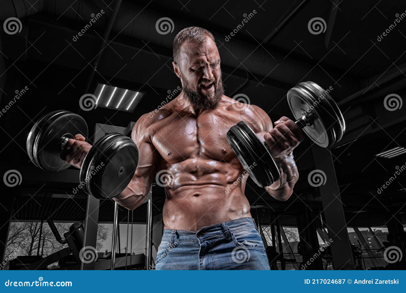 Professional Weightlifter Is Training In The Gym Dumbbell Curl Stock