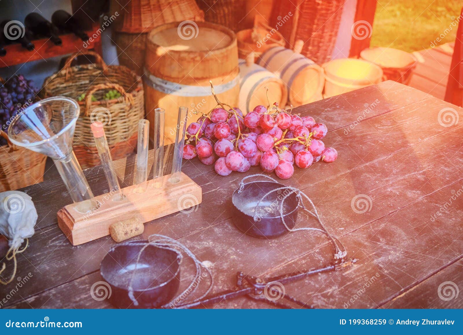 Professional Winemaking, Table with Grapes and Flasks for Sampling ...