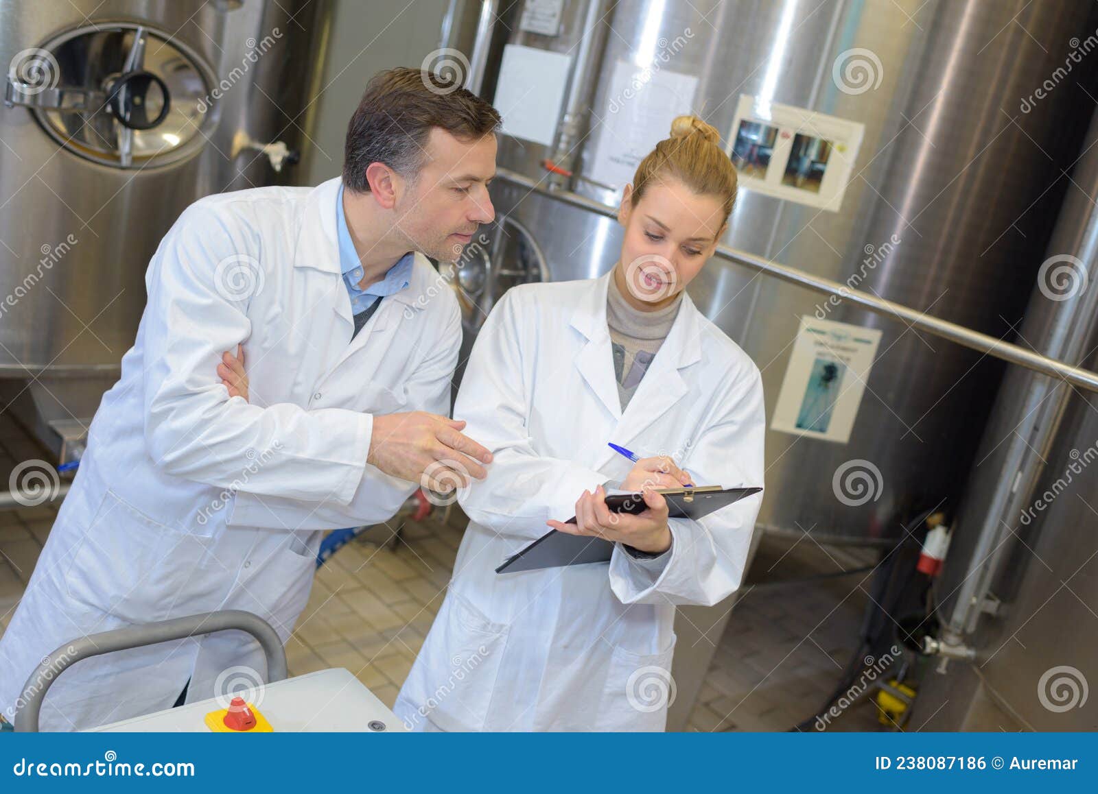 Professional Winery Factory Staff Stock Photo - Image of quality ...