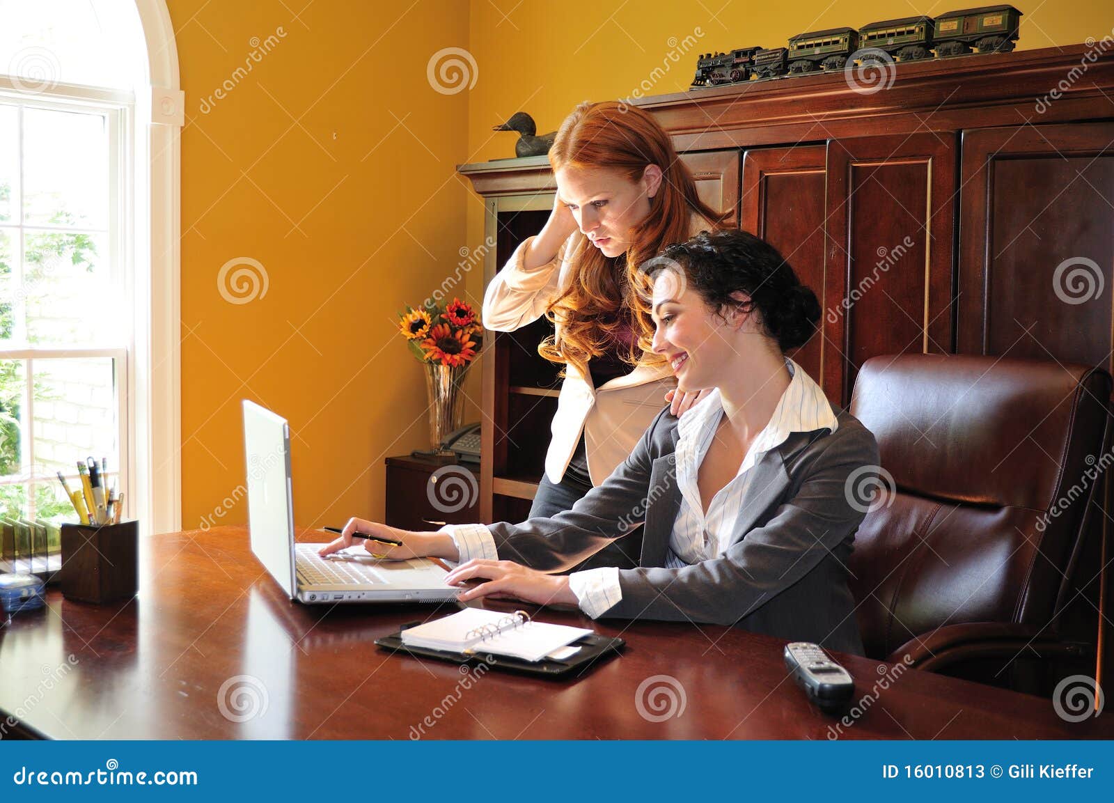 Professional women working stock image. Image of employee - 16010813