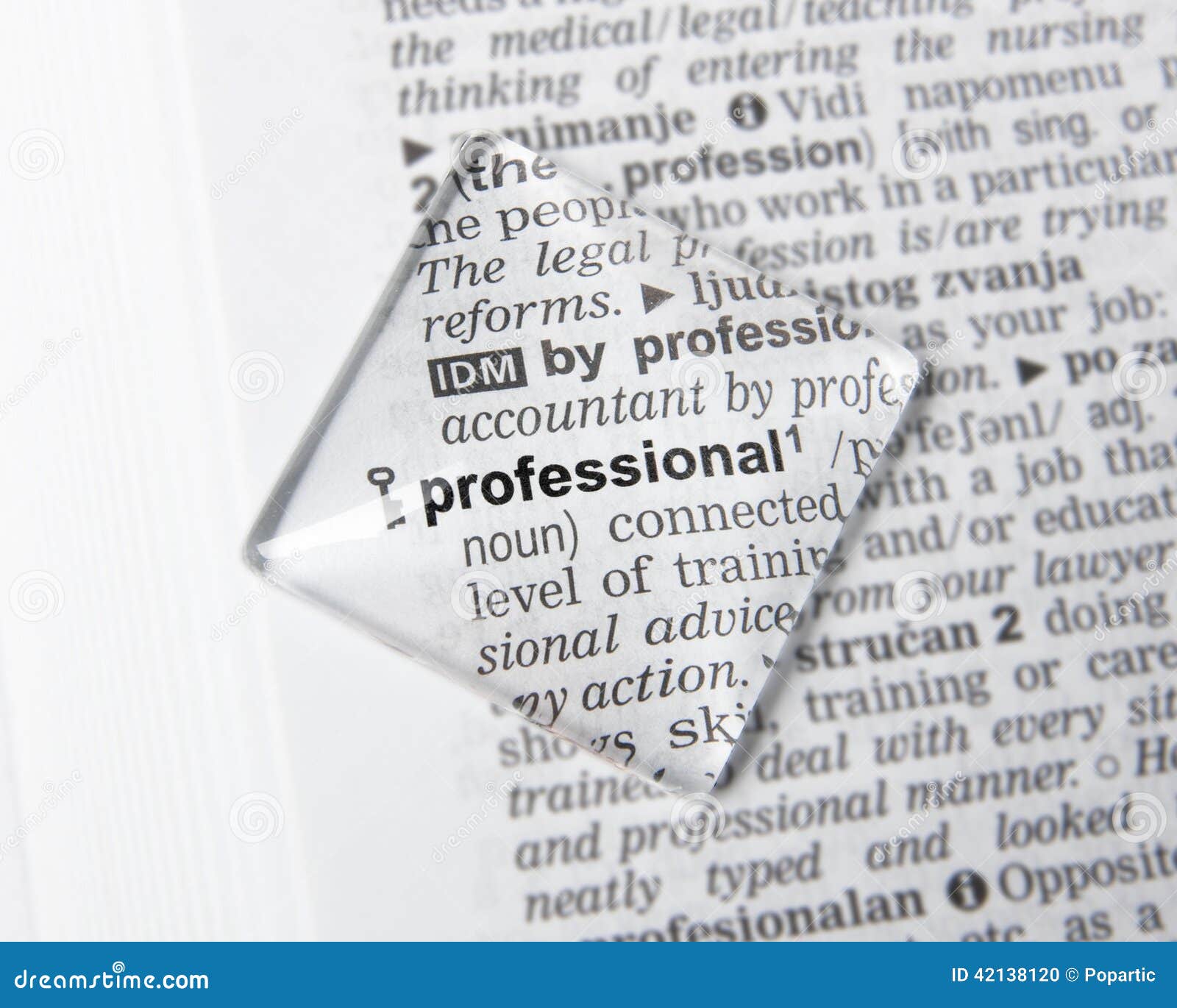 Professional stock photo. Image of dictionary, blurred - 42138120