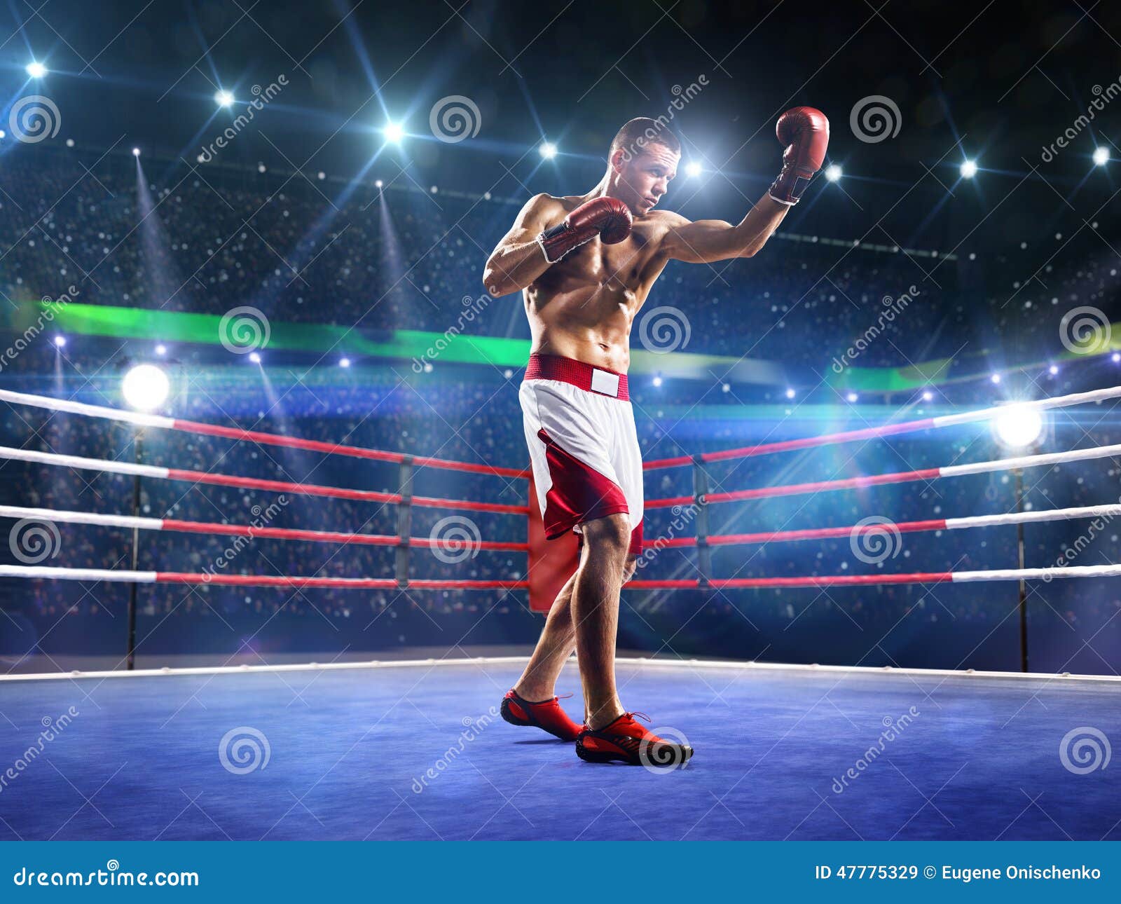Professionl Boxer is Standing on the Ring Stock Image - Image of people ...