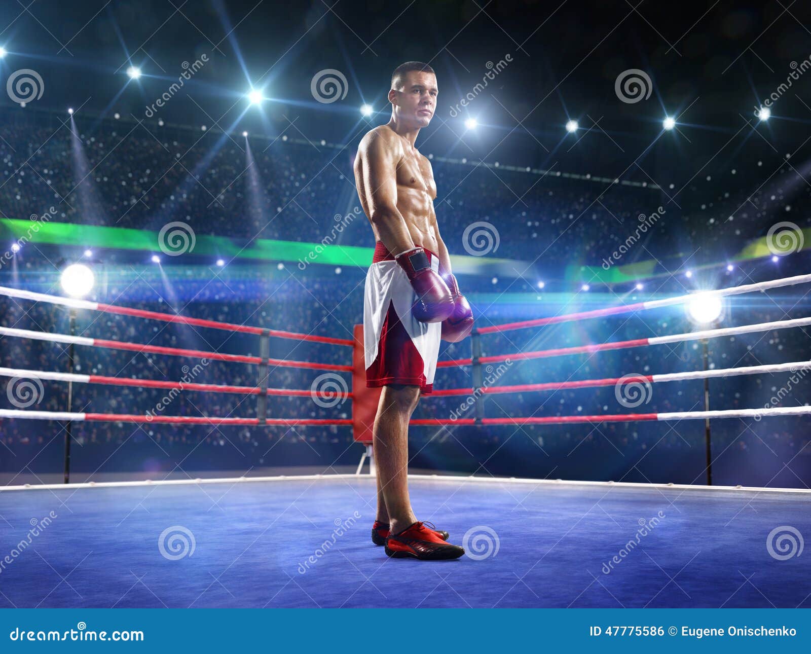 Professionl Boxer is Standing on the Ring Stock Photo - Image of power ...