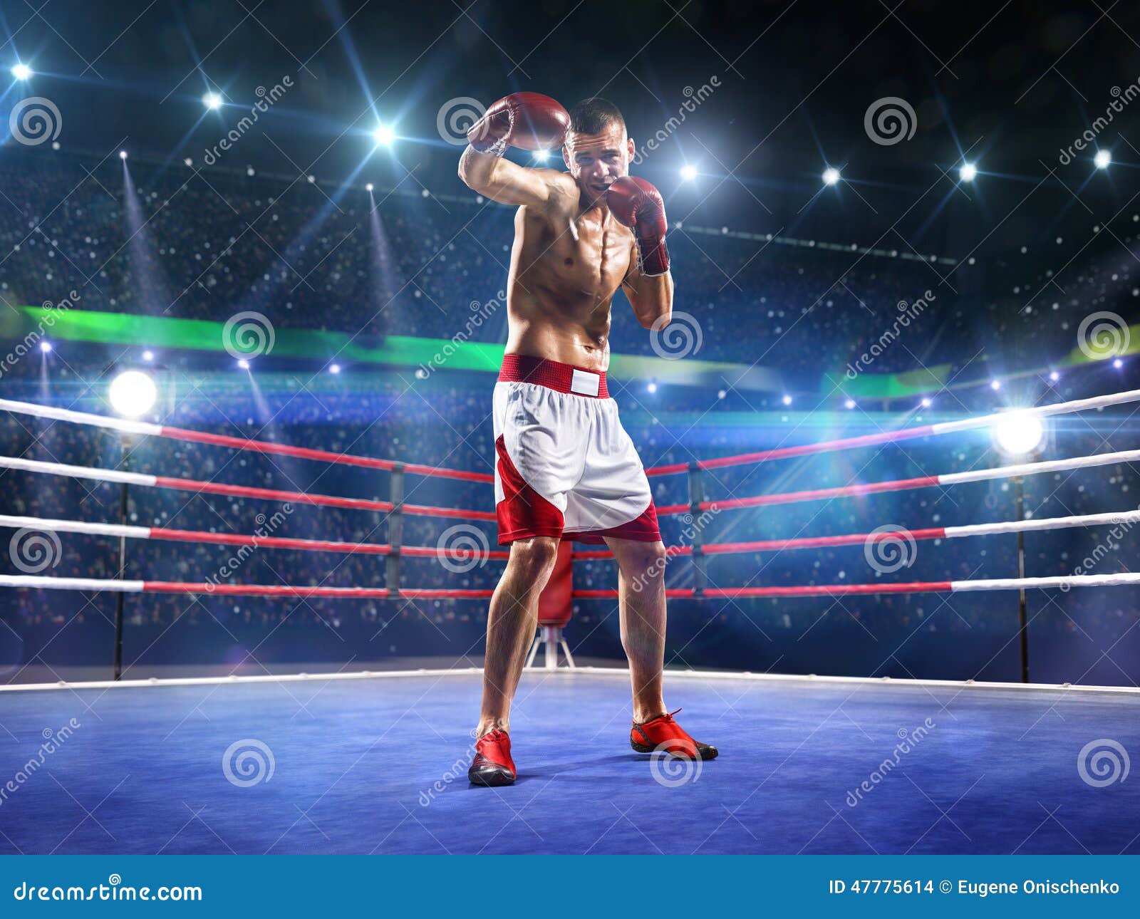 Professionl Boxer is Standing on the Ring Stock Photo - Image of ...
