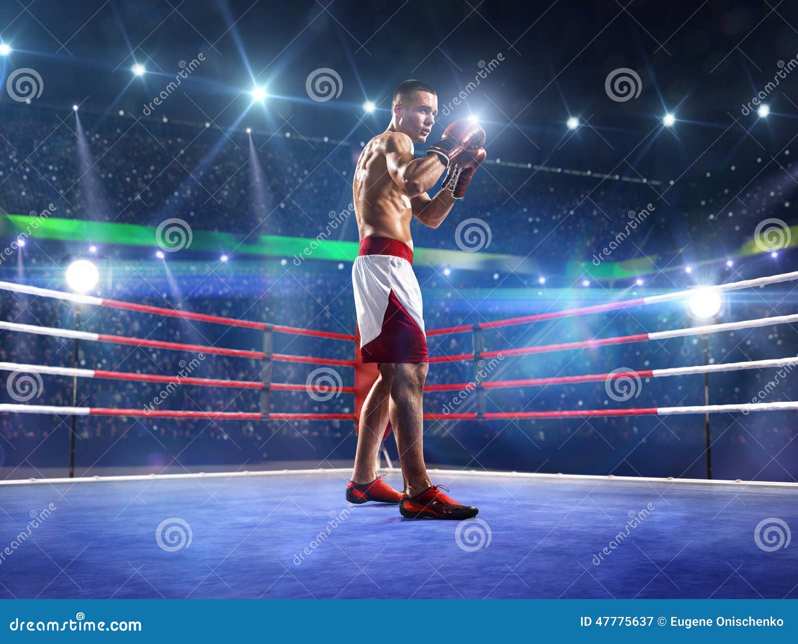 Professionl Boxer is Standing on the Ring Stock Image - Image of ...