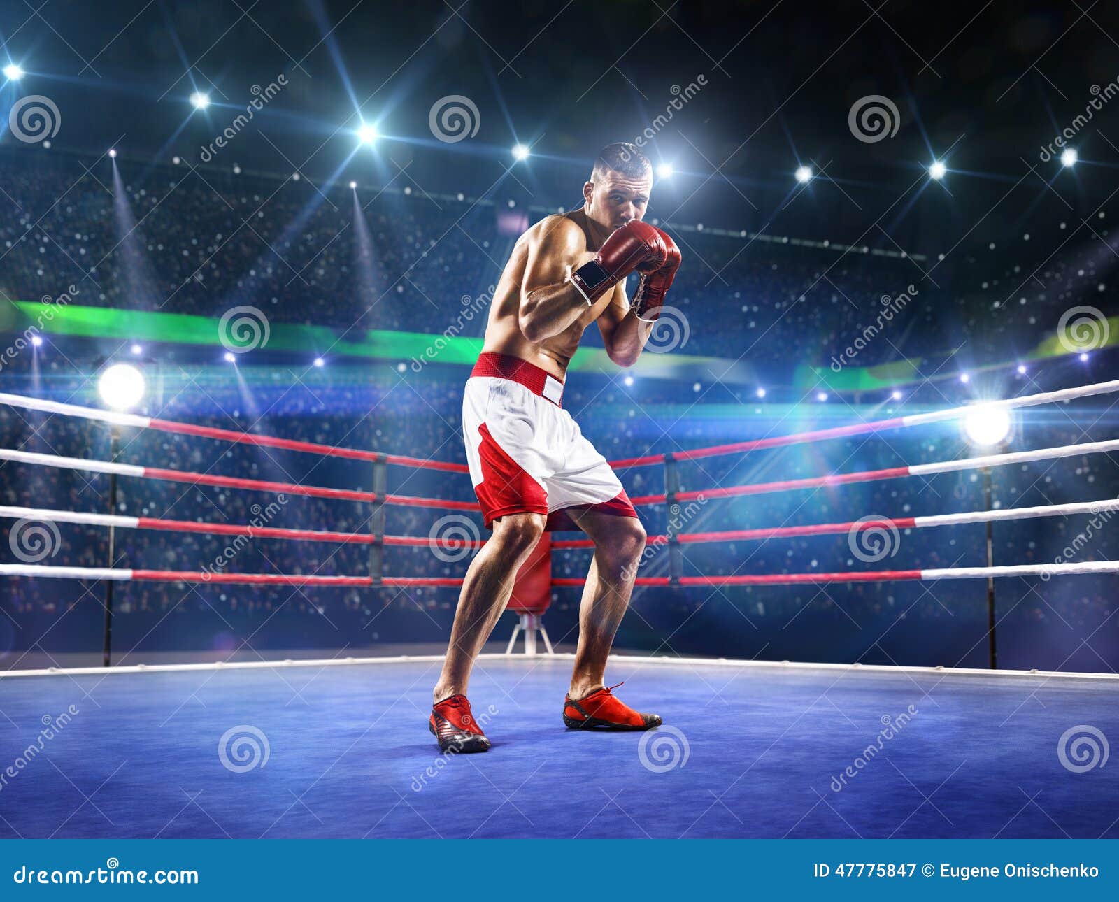 Professionl Boxer is Standing on the Ring Stock Image - Image of ...