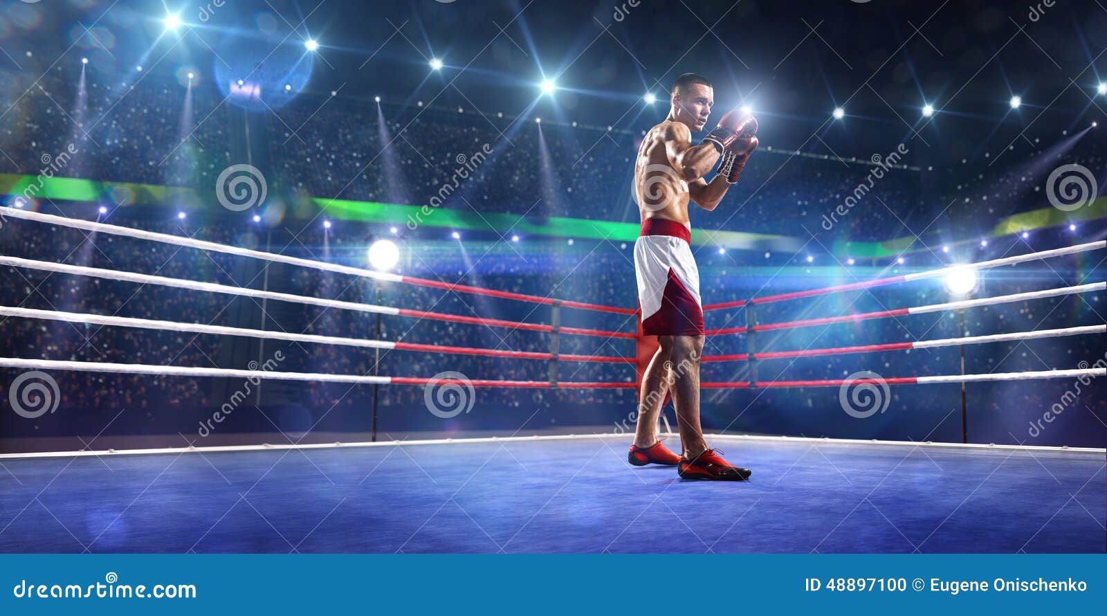 Professionl Boxer is Standing on the Ring Stock Photo - Image of ...