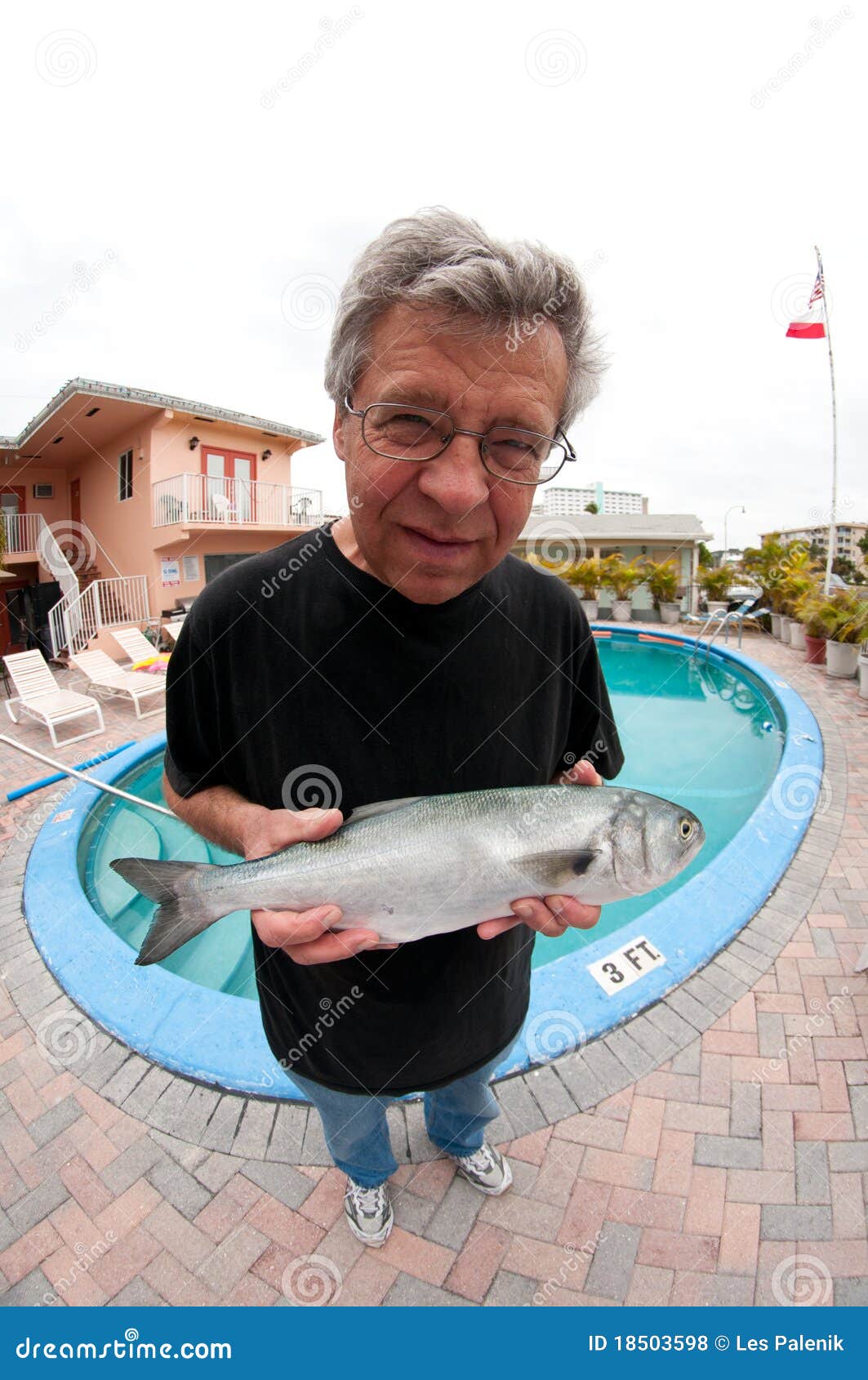 Professor with a fish stock photo. Image of distorted - 18503598