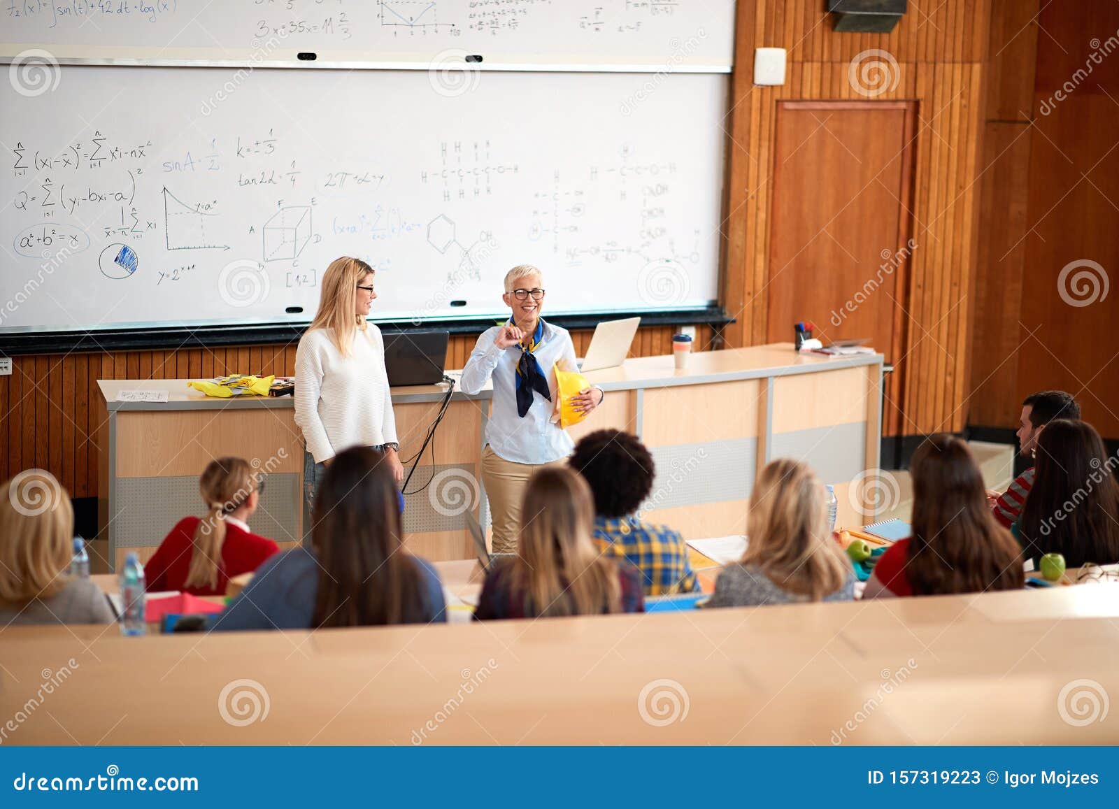 Professor Helping Student in Class in University Engaged in Education ...