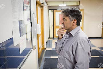 Professor Reading Notice Board Stock Photo - Image of teacher ...