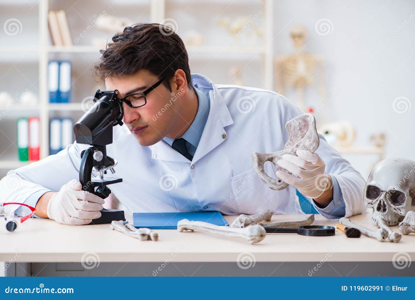 The Professor Studying Human Skeleton in Lab Stock Image - Image of ...