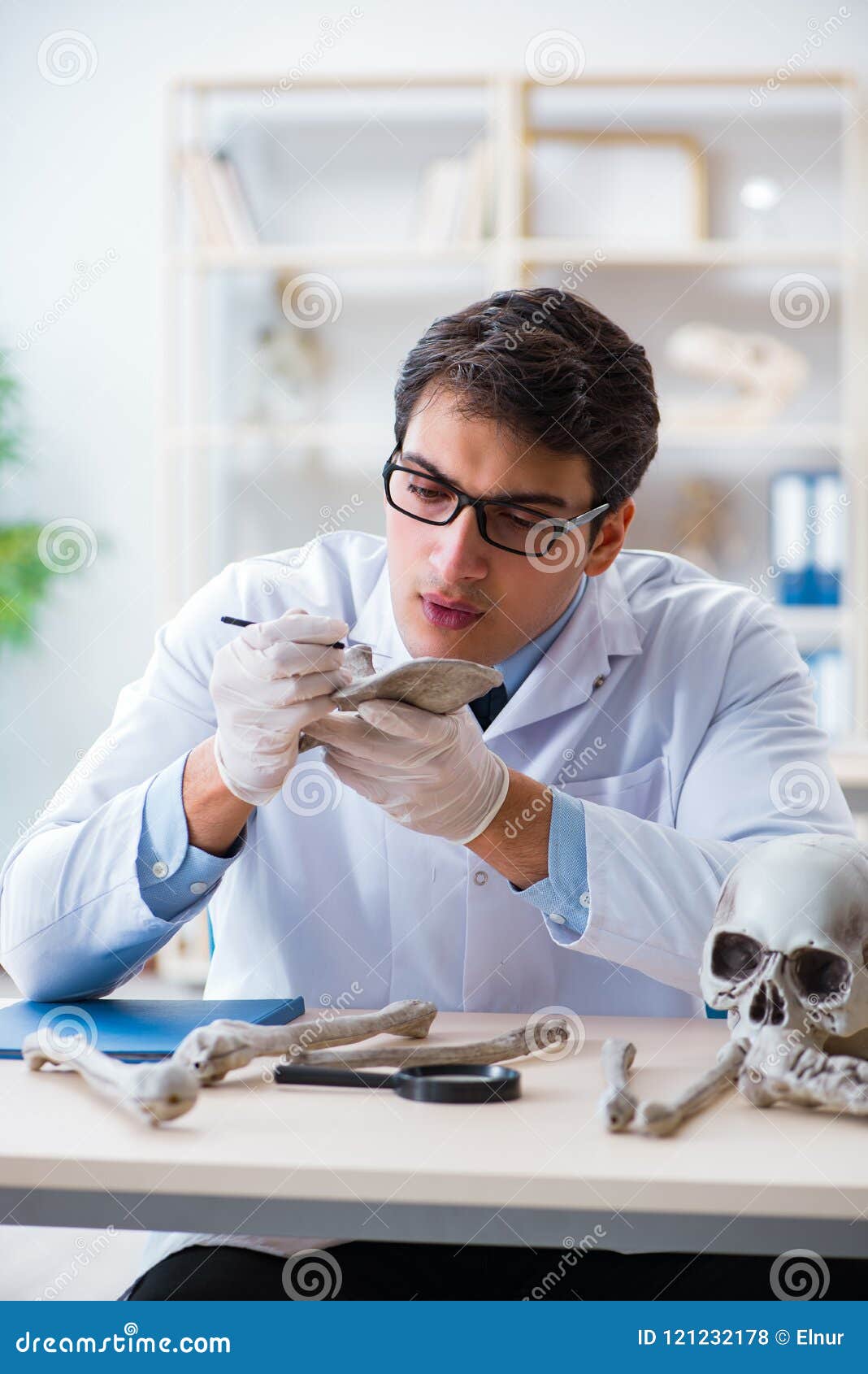 The Professor Studying Human Skeleton in Lab Stock Photo - Image of ...