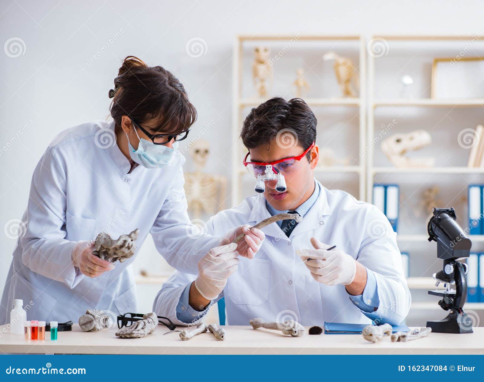 Professor Studying Human Skeleton in Lab Stock Photo - Image of nerd ...