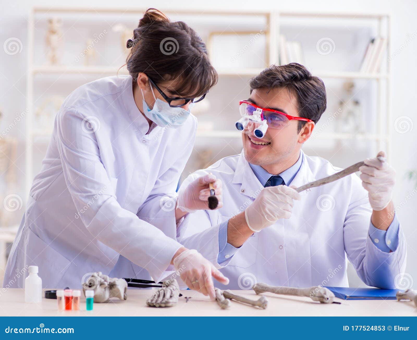 Professor Studying Human Skeleton in Lab Stock Image - Image of anatomy ...