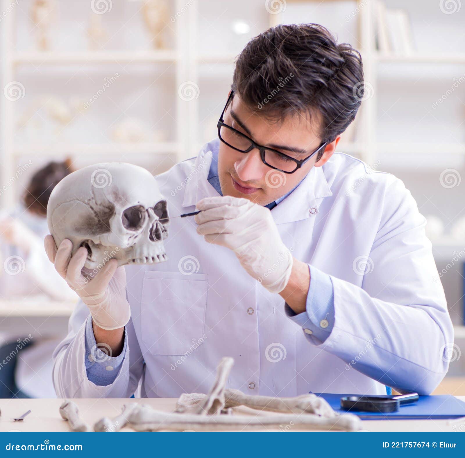 Professor Studying Human Skeleton in Lab Stock Photo - Image of ancient ...