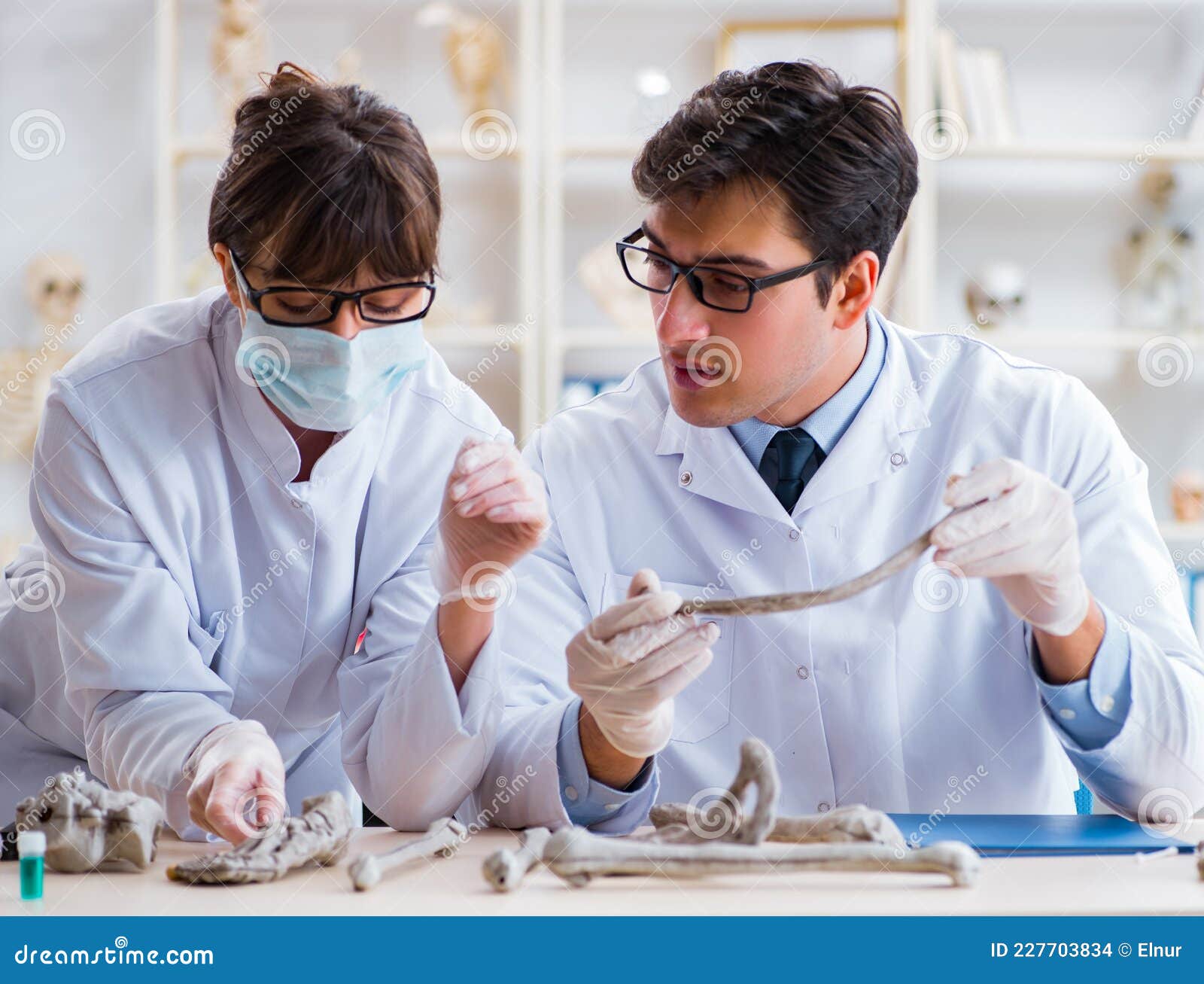 Professor Studying Human Skeleton in Lab Stock Photo - Image of ...