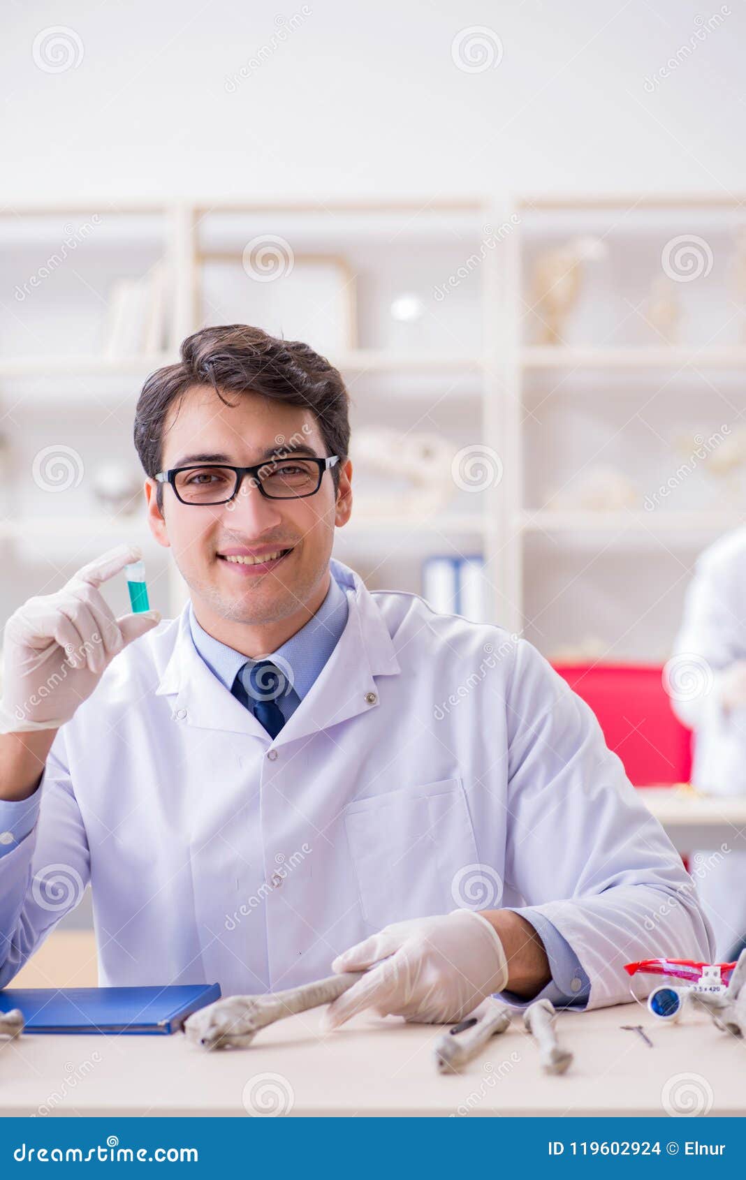 The Professor Studying Human Skeleton in Lab Stock Photo - Image of ...