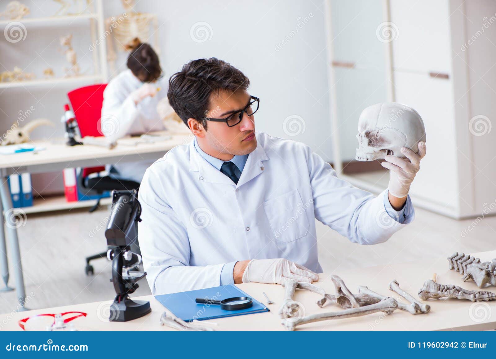The Professor Studying Human Skeleton in Lab Stock Photo - Image of ...